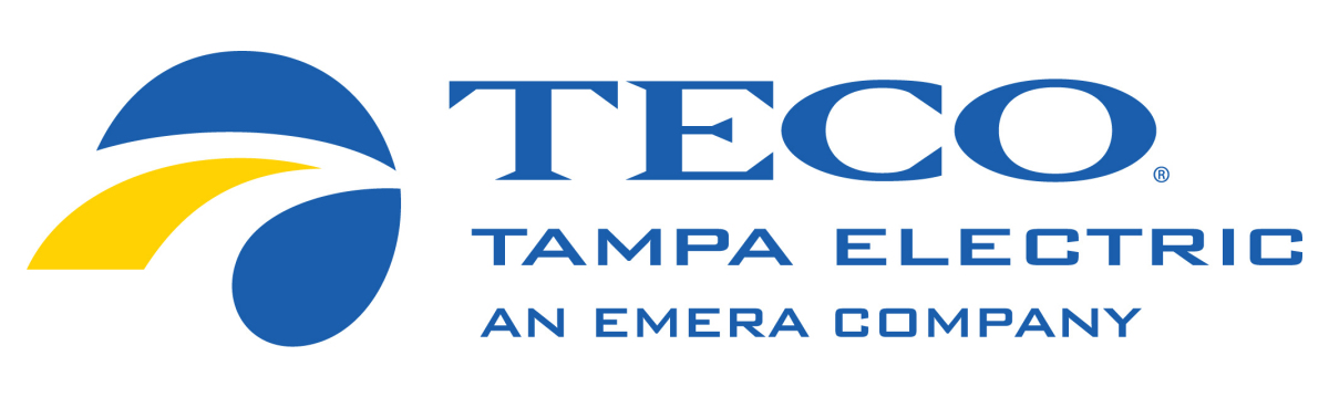 Guide to TECO Solar Programs in 2022