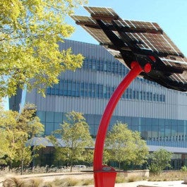 Solar Trees: Your Guide to This Fast-Growing Solar Trend