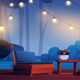 Top 5 Solar String Lights for Your Home