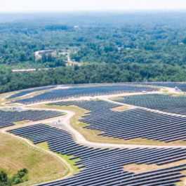 REC Solar Panels Review 2023