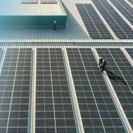 Commercial Solar Panels: Costs, Benefits & Best Installers
