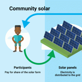 What Is Community Solar? Is it Better Than Home Solar?